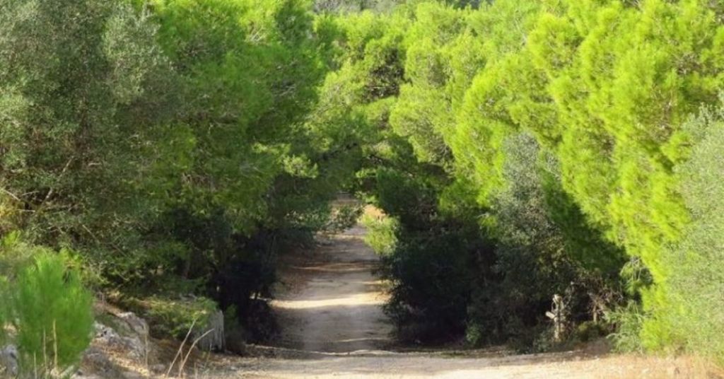 Breaking: FKNK Loses Rights Over Aħrax And Miżieb As Court Rules Secret ... Breaking: FKNK Loses Rights Over Aħrax And Miżieb As Court Rules Secret ...